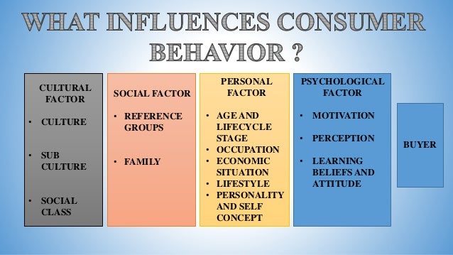 Consumer Behavior Patterns