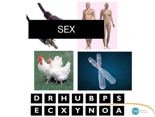 Comprehensive Sexuality Education Curriculum Guides Pptx