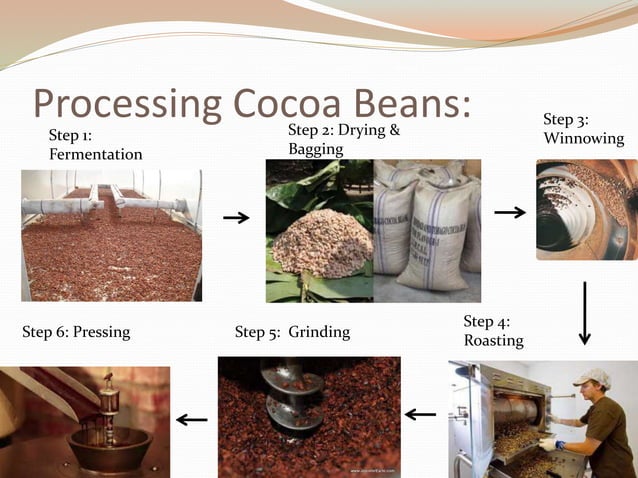 Processing Chocolate! | PPTX