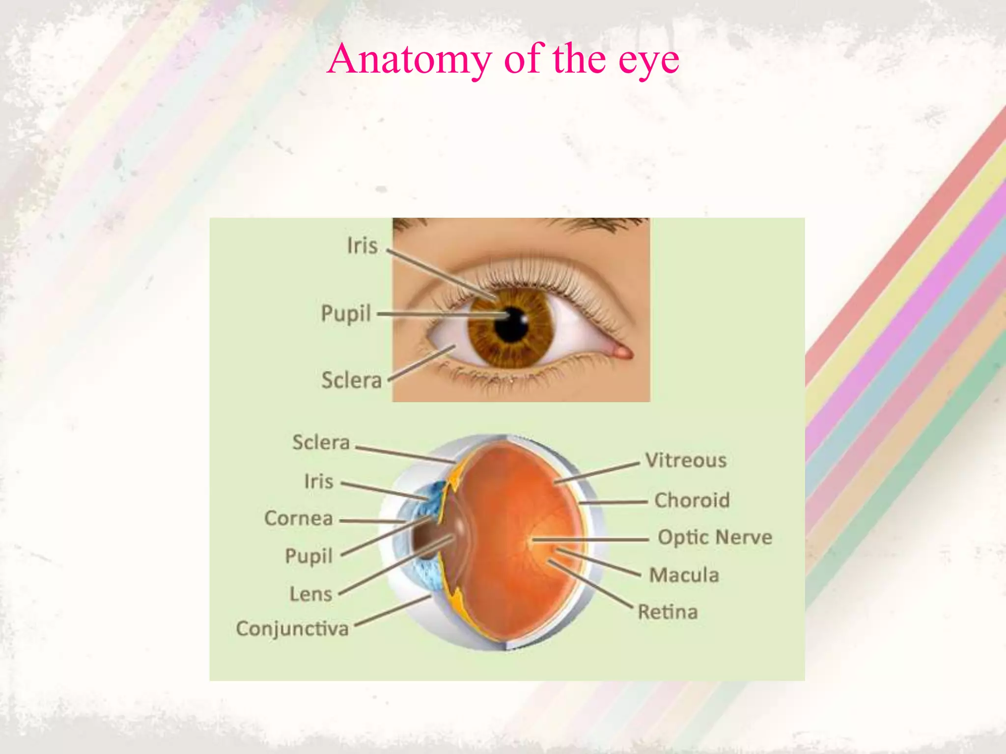 Artificial Eye PPT | PPTX