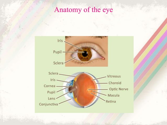 Artificial Eye PPT | PPTX