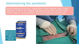 C SECTION IN SMALL AND LARGE ANIMALSpptx | PPTX