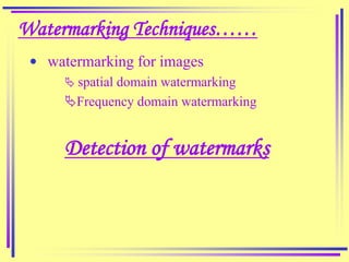 Digital Watermarking Report | PPTX