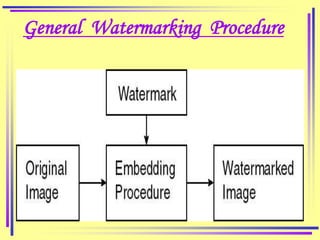 Digital Watermarking Report | PPTX