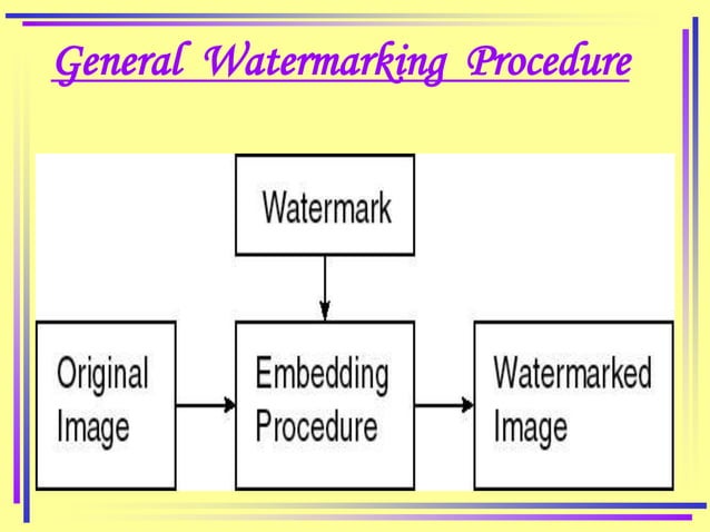 Digital Watermarking Report | PPTX