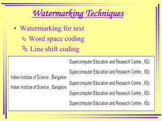Digital Watermarking Report | PPTX
