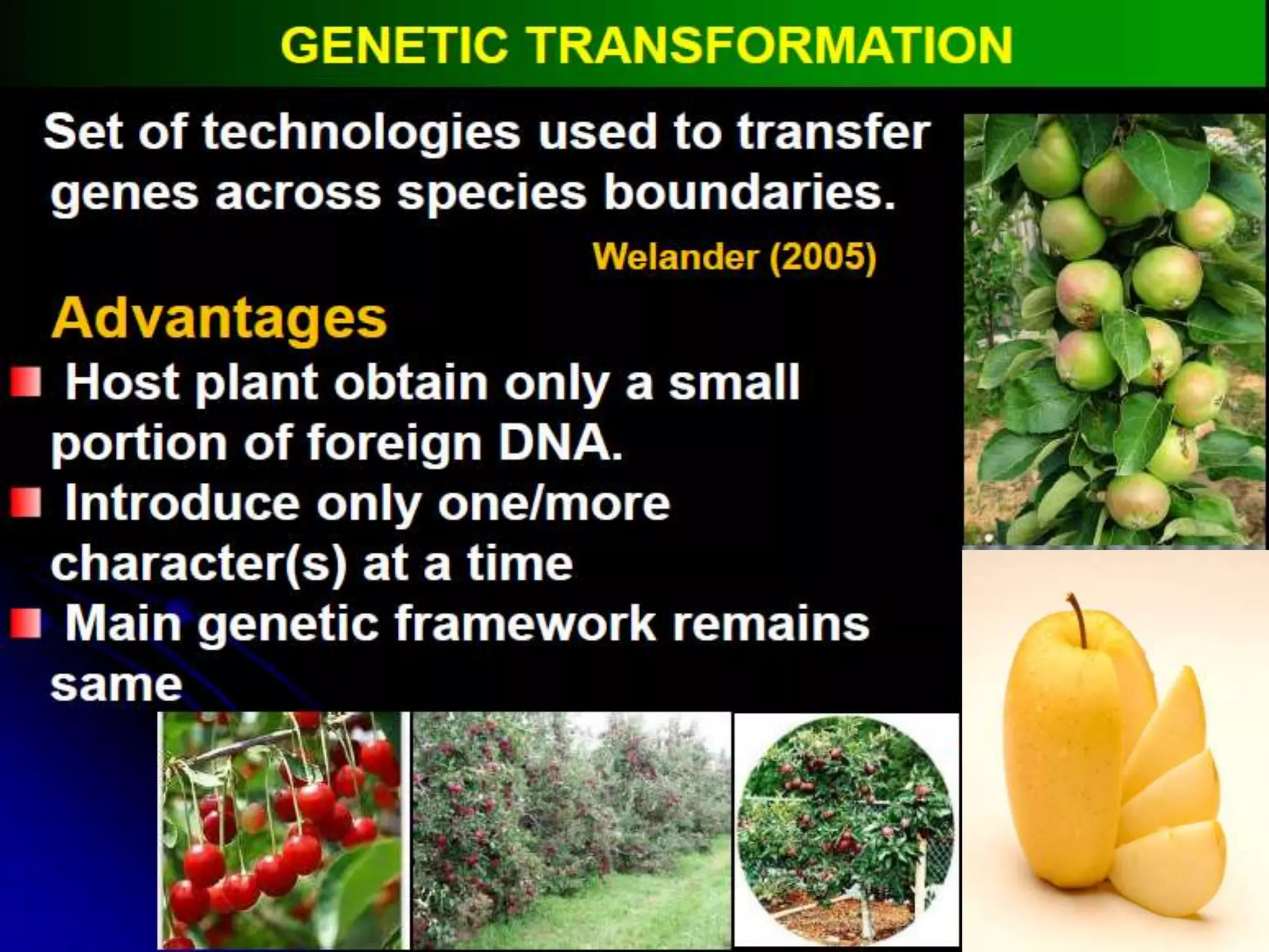 BREEDING APPROACHES FOR IMPROVEMENT OF TEMPERATE FRUIT CROPS | PPTX