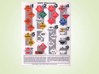 c Separation and Segregation.ppt