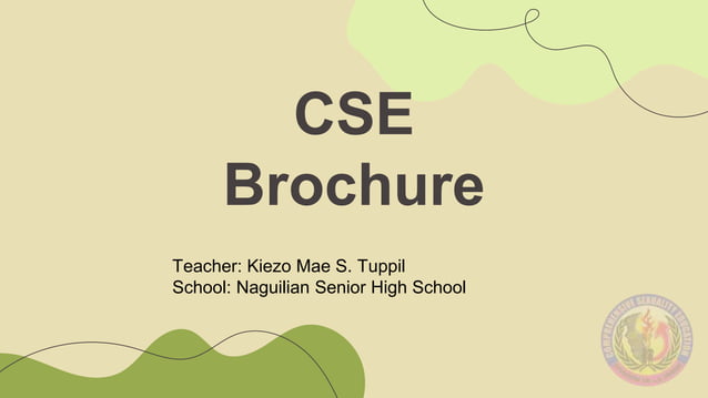 CSE Presentation Dec 2.pptx