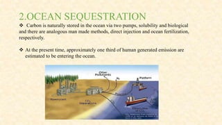 C sequestration | PPTX | Science