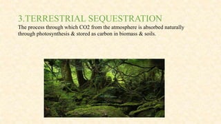 C sequestration | PPTX