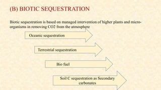 C sequestration | PPTX
