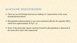 C sequestration | PPTX | Science