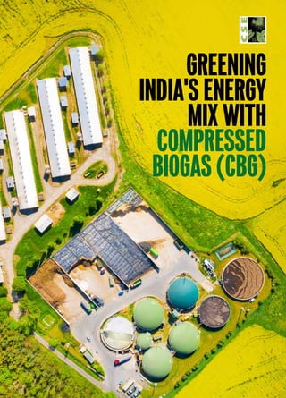 CSE report-greening-indias-new-energy-mix-low-res.pdf
