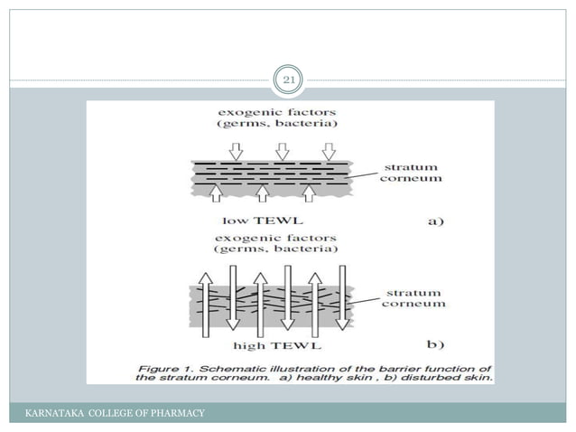 SUBUMETER, CORNEOMETER, TEWL,m.pharm analysis, pharmaceutical analysis ...