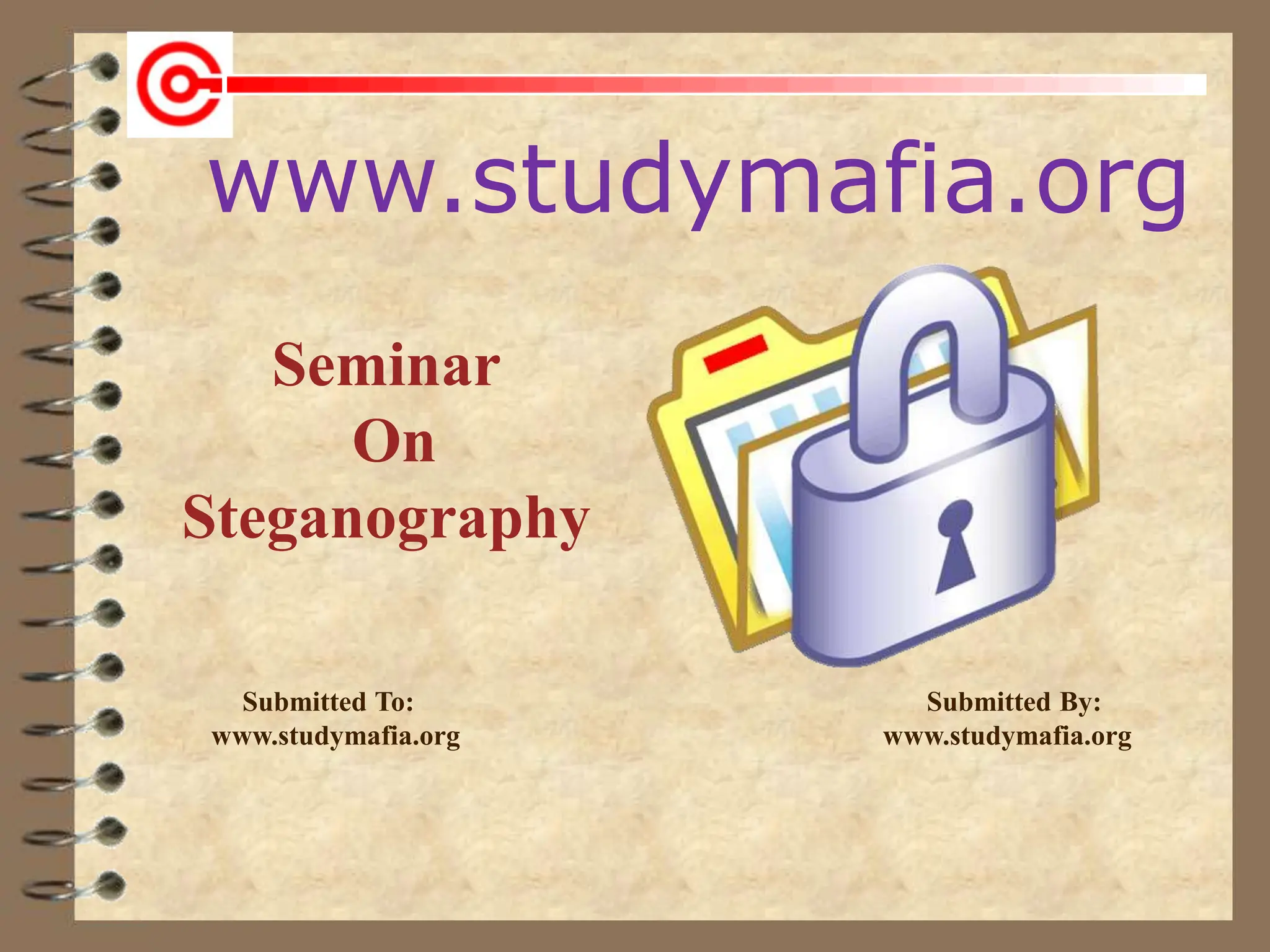 CSE steganography for data writing and reading | PPTX