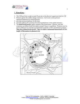CSF - Cerebrospinal fluid examination - from tapping to pathological ...