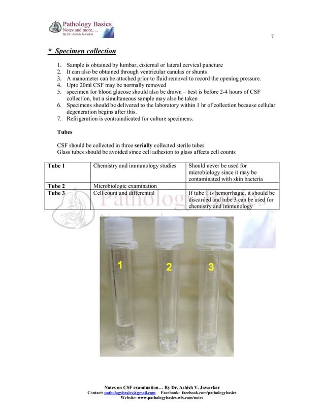 CSF - Cerebrospinal fluid examination - from tapping to pathological ...