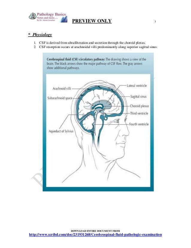 CSF - Cerebrospinal fluid examination - from tapping to pathological