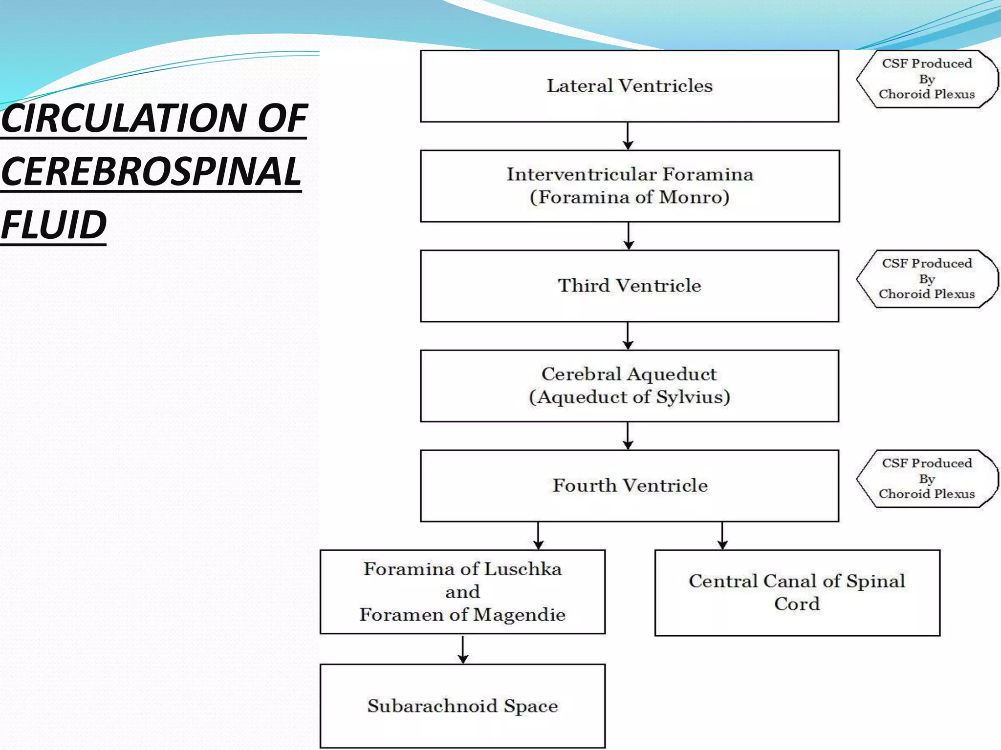 Cerebrospinal fluid | PPTX