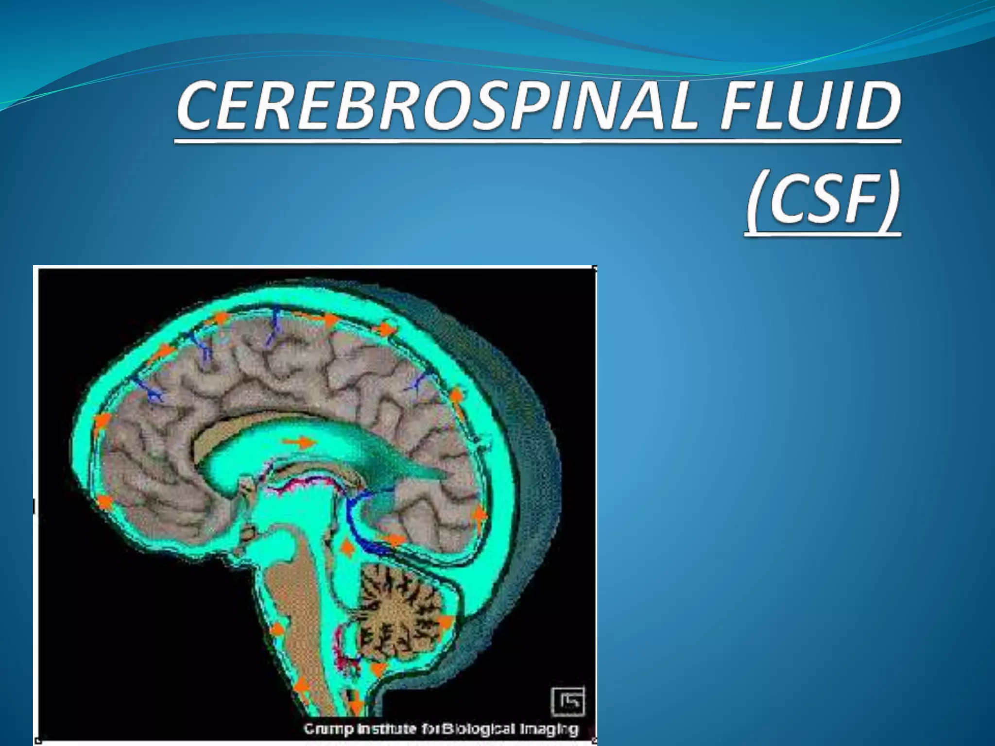 Cerebrospinal fluid | PPTX