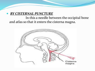 Cerebrospinal fluid | PPTX | Brain and Nervous System Disorders ...