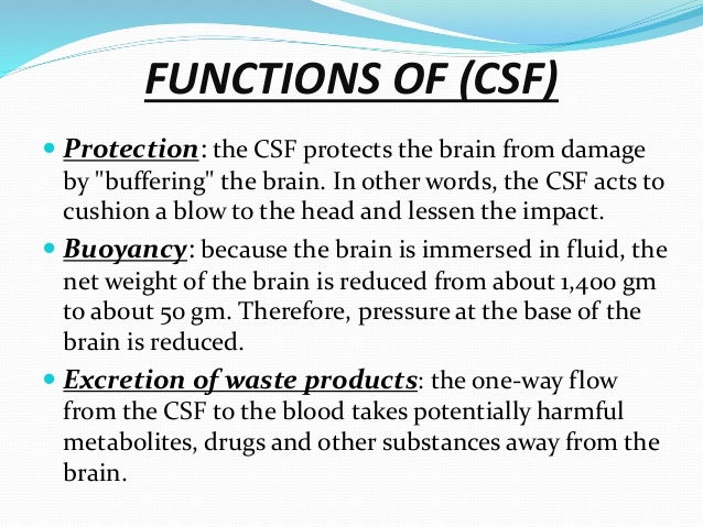 Cerebrospinal fluid