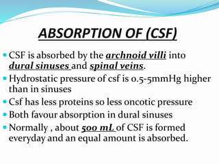 csf-141115073806-conversion-gate02 (1).pptx | Brain and Nervous System ...