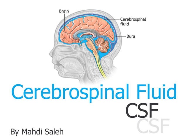 cerebrospinal fluid Csf | PPT