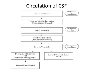 CEREBROSPINAL FLUID | PPTX