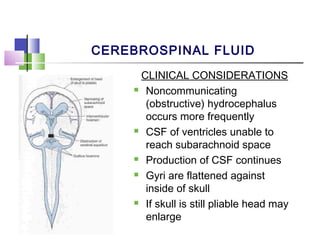 Biochemistry of Cerebrospinal fluid (CNF) | PPT