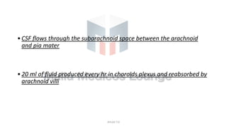 Cerebrospinal Fluid (CSF) | PDF