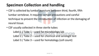 Cerebrospinal Fluid (CSF) | PDF