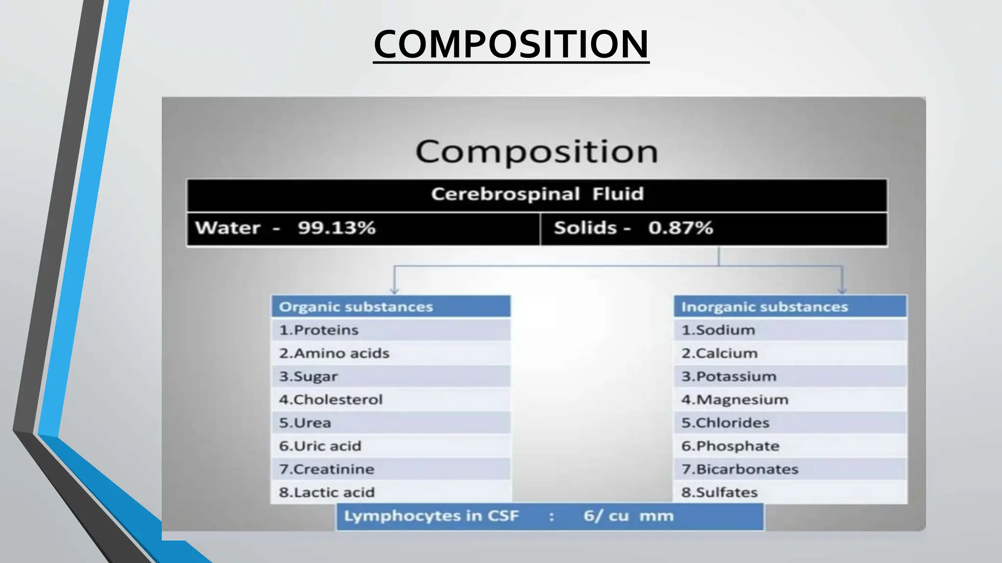 CSF-function, properties, circulation formation.pptx