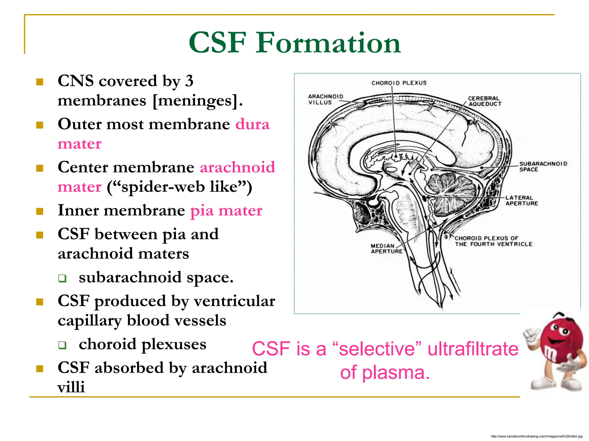 CSF CNS covered by 3 membranes [meninges] pdf | PDF