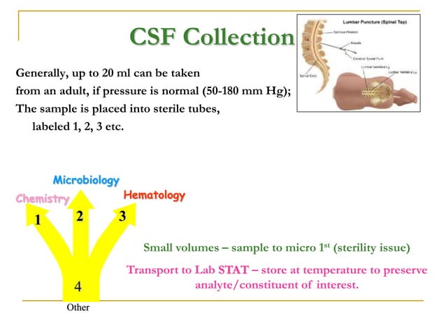 CSF CNS covered by 3 membranes [meninges] pdf | PPT
