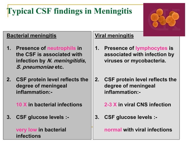 CSF CNS covered by 3 membranes [meninges] pdf | PPT