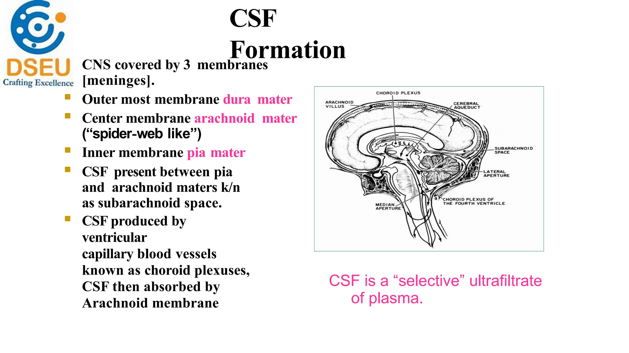 Cerebrospinal Fluid (CSF) fully explained.pptx