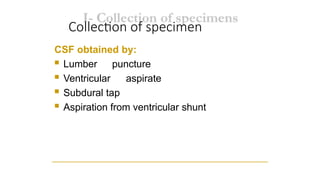 Cerebrospinal Fluid (CSF) fully explained.pptx