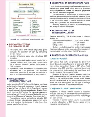 CSF and it's production and normal composition | PDF