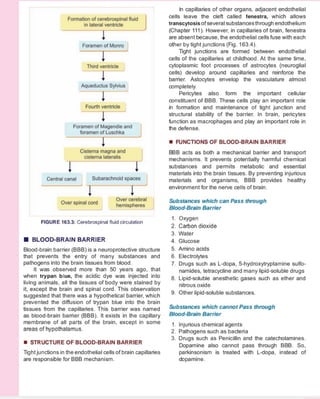 CSF and it's production and normal composition | PDF