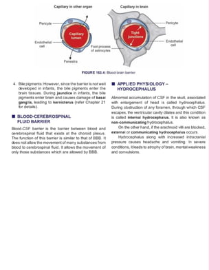 CSF and it's production and normal composition | PDF