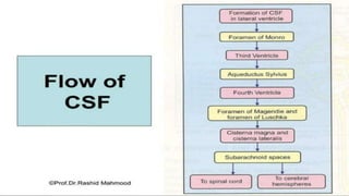 CSF-Pathway all aspect covered (anatomical and physiological) | PPT