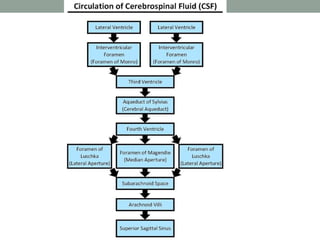 CSF analysis in meningitis ,tuberculosis,viral | PPT