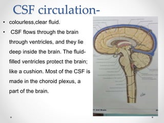 Csf analysis anupaam | PPTX