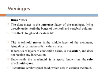 CENTRAL NERVOUS SYSTEM AND ITS COMPONENTSpptx | PPTX