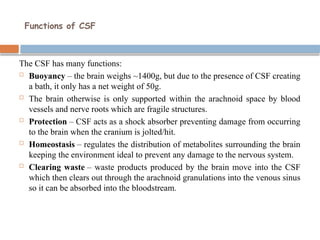 CENTRAL NERVOUS SYSTEM AND ITS COMPONENTSpptx | PPTX