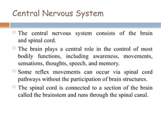 CENTRAL NERVOUS SYSTEM AND ITS COMPONENTSpptx | PPTX