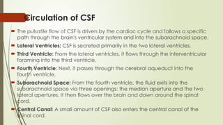 csf and meninges NATUNGA RONALD NOTES.pptx