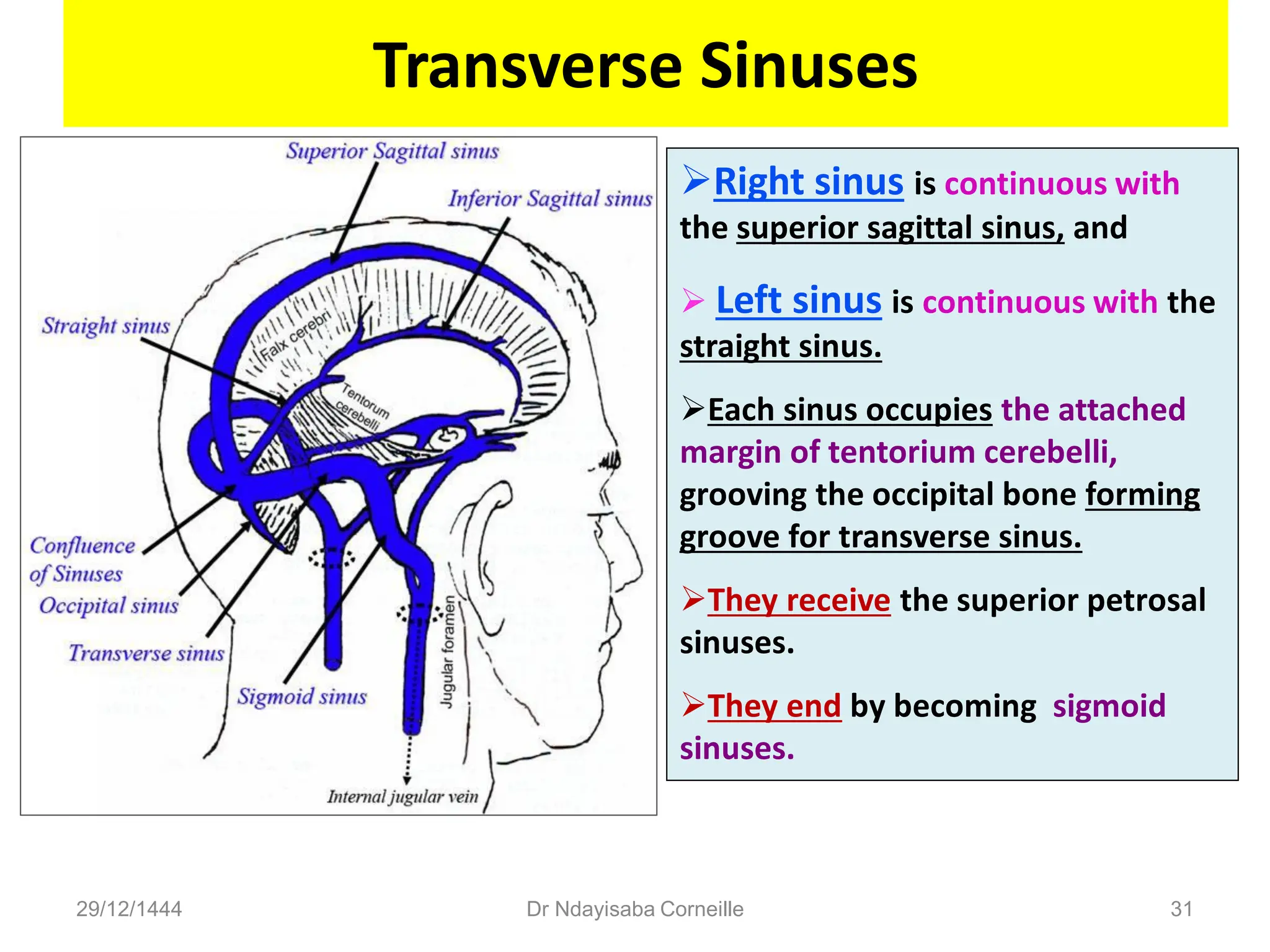 Cerebral Spinal Fluid (csf) AND VENTRICLES | PDF